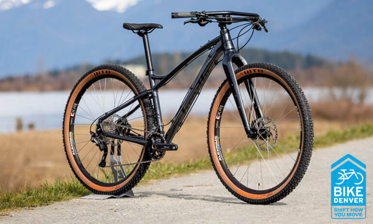 The 13 Types of Bicycles (Characteristics and Features)